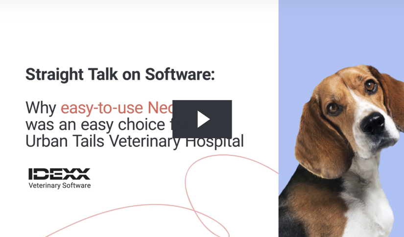 How Neo Vet Software Helps with an Increased Patient Load (Video) | IDEXX Software